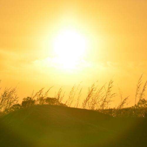 Positive forecast | Country News