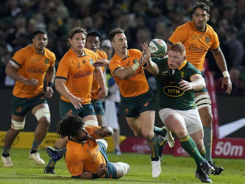 Off-the-pace Wallabies own up to rugby reality check | Kyabram Free Press