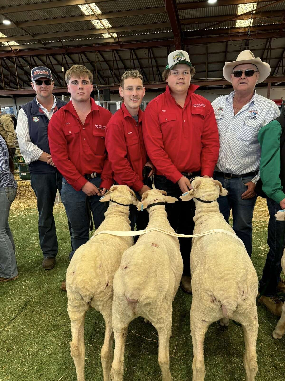 Deni High triumphs in sheep challenge | Dairy News Australia