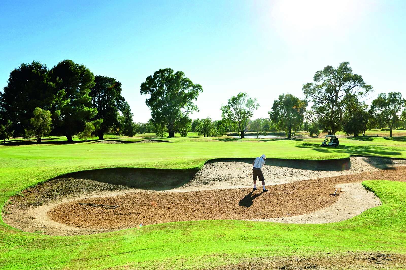 Heather Cameron shines in monthly medal competition | Southern Riverina ...