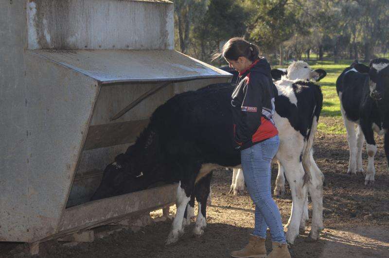 Consistent feed is crucial | Country News