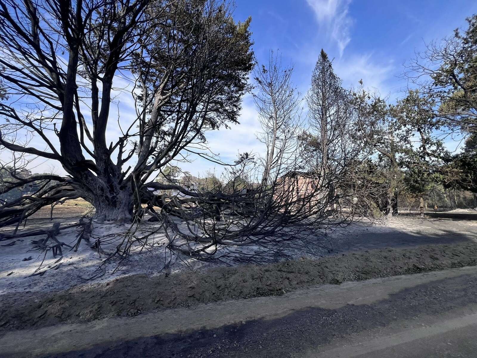 Longwood blaze ‘uncontrollable’ | Country News