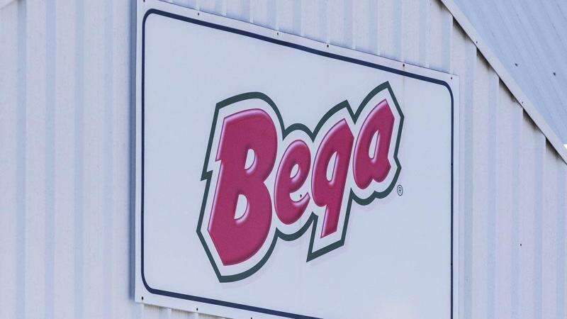 Bega announces milk price step-up | Dairy News Australia