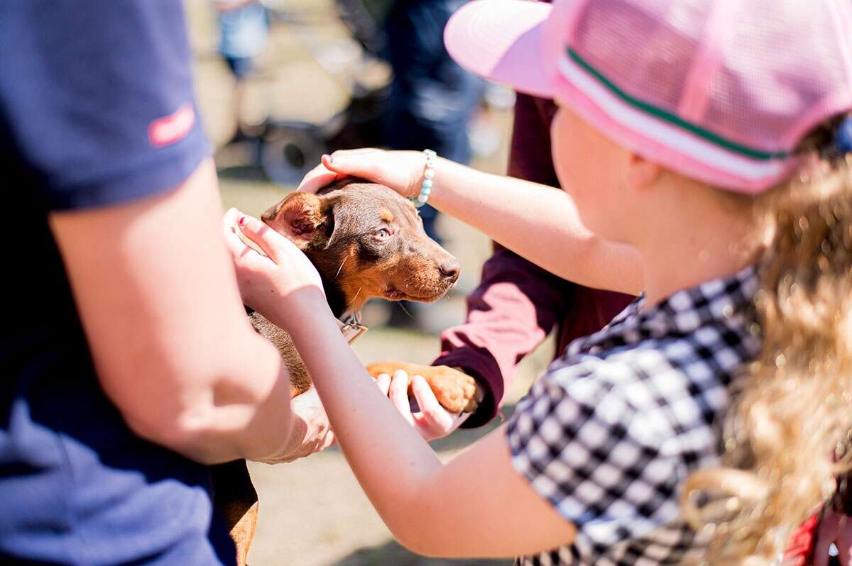 Get ready, Elmore Field Days is around the corner | Country News