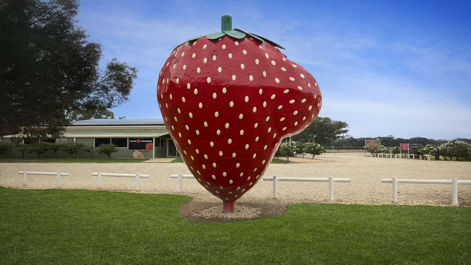 Koonoomoo’s Big Strawberry gets a makeover for a good cause | Dairy ...