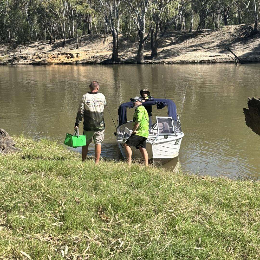 Much interest in fish release | Country News