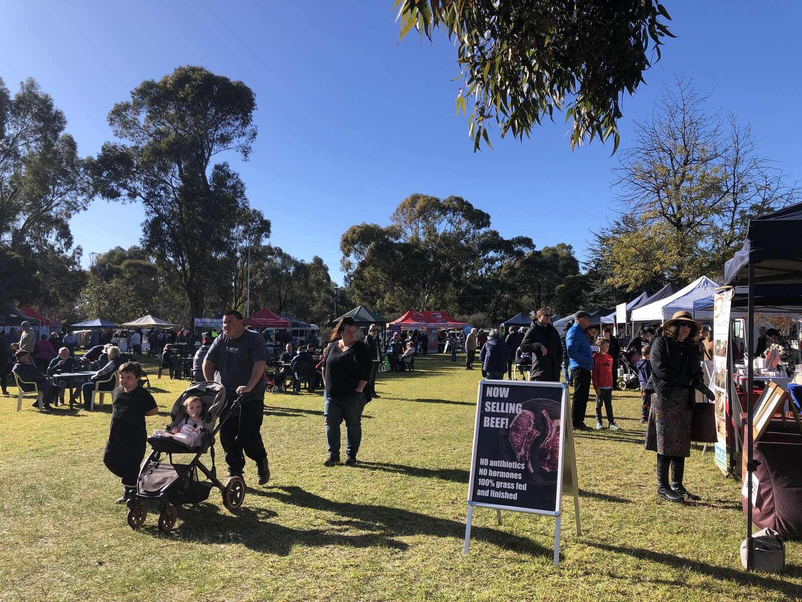 Small town market draws big crowd | Seymour Telegraph