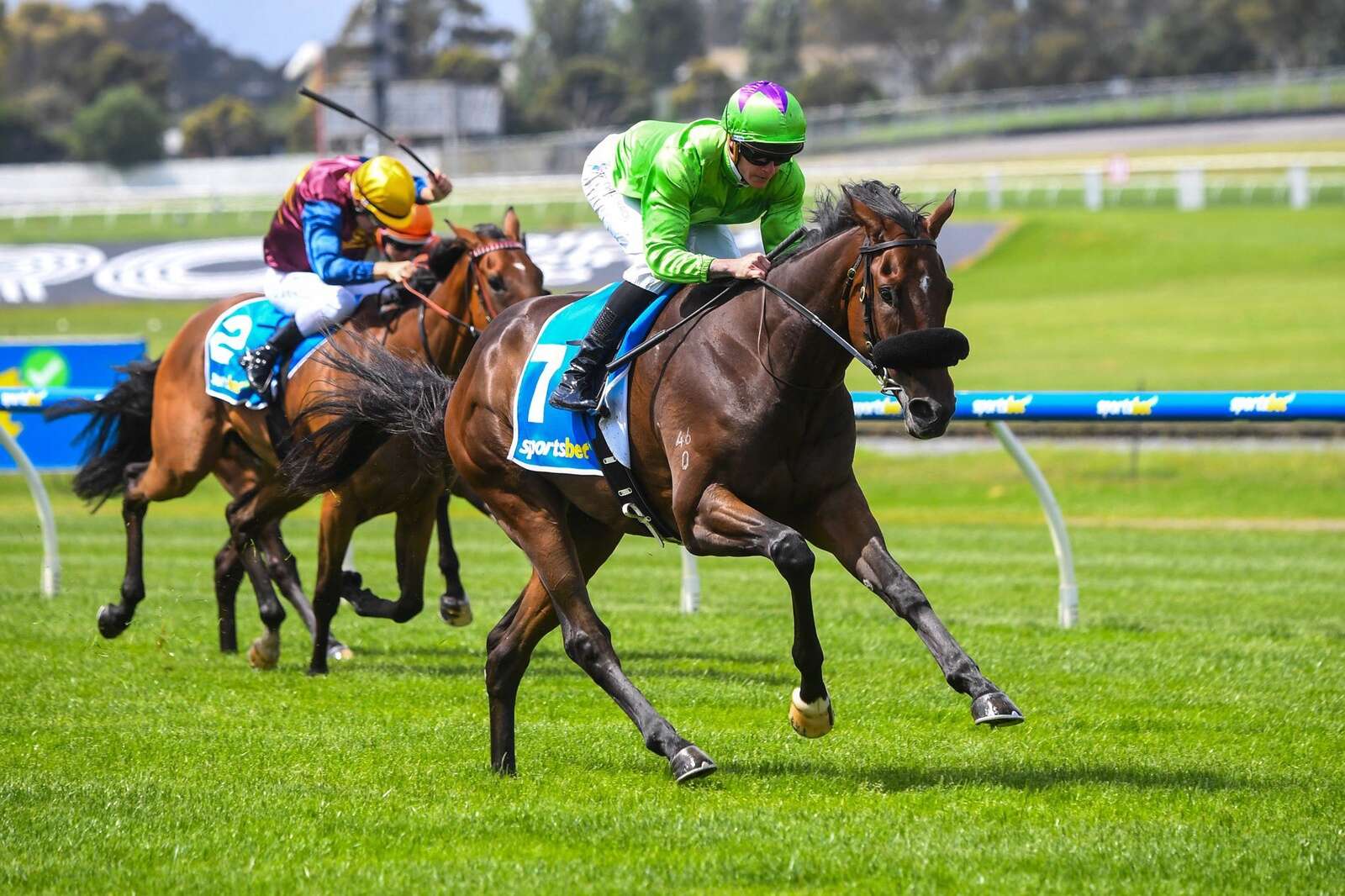 Yahoo Bar has Liam Howley Racing shouting for joy at Sandown ...