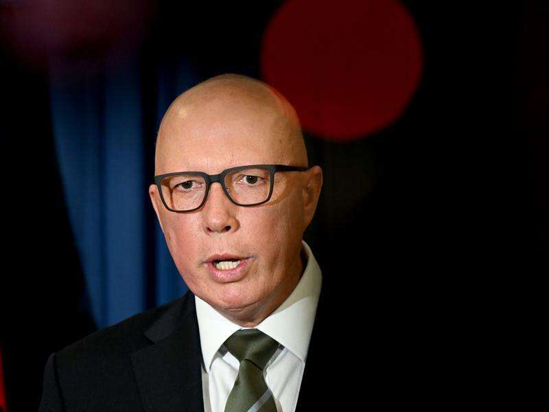 Dutton raised 'systemic' abuse issues with PM | Country News