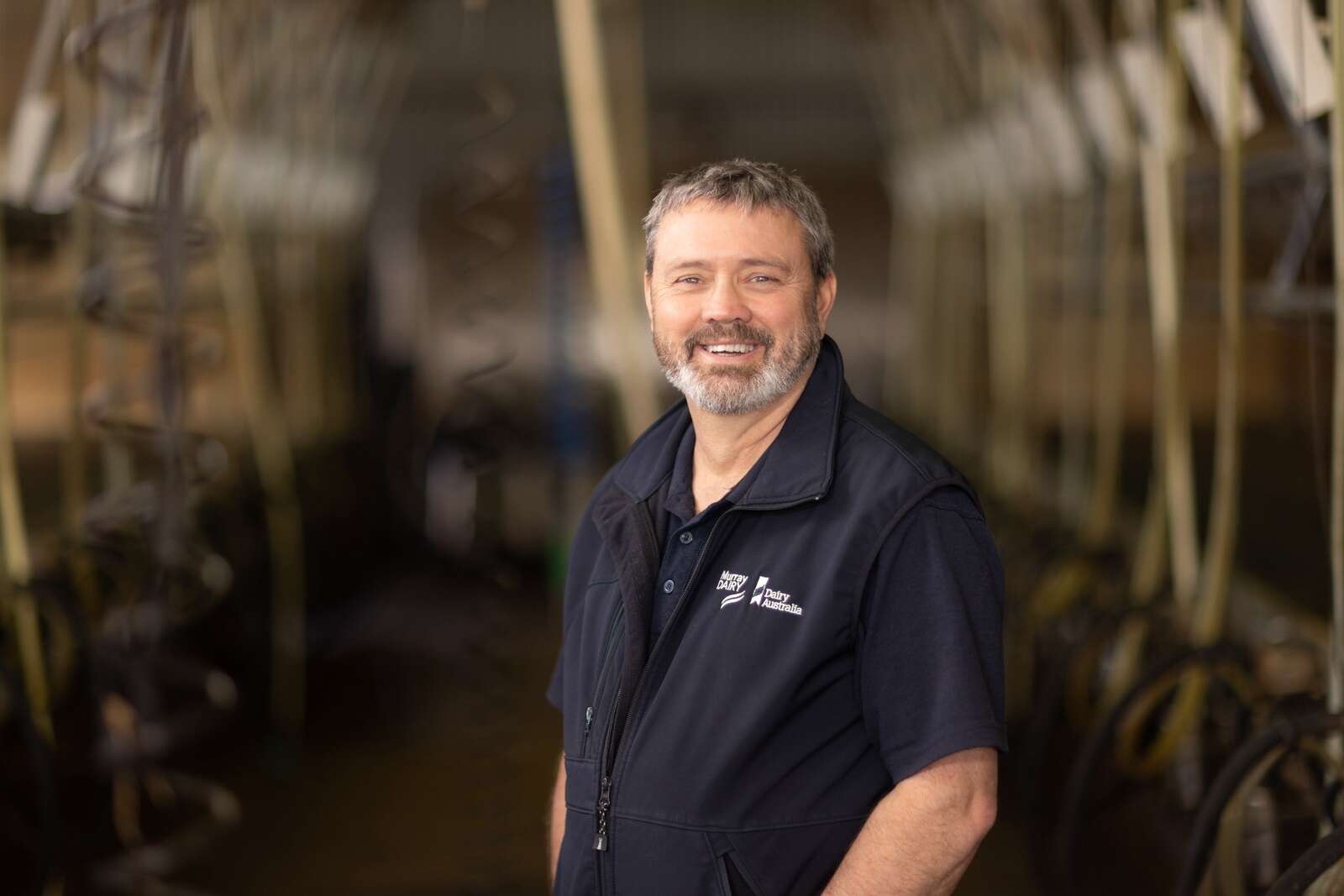 The hidden costs of poor cow fertility | Dairy News Australia