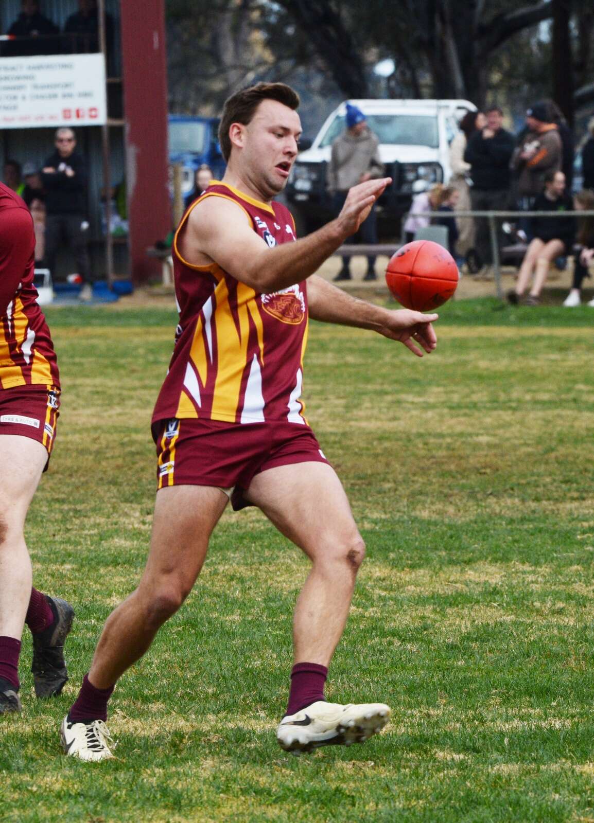 Bears elevate performance with 120 point win | Shepparton News