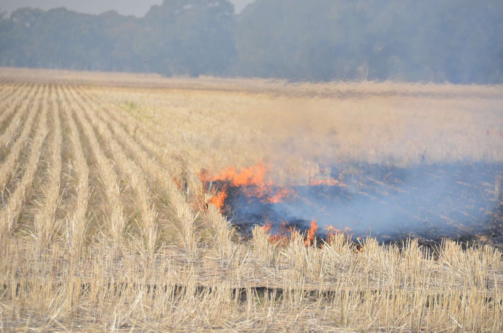 Take care when stubble burning | Country News