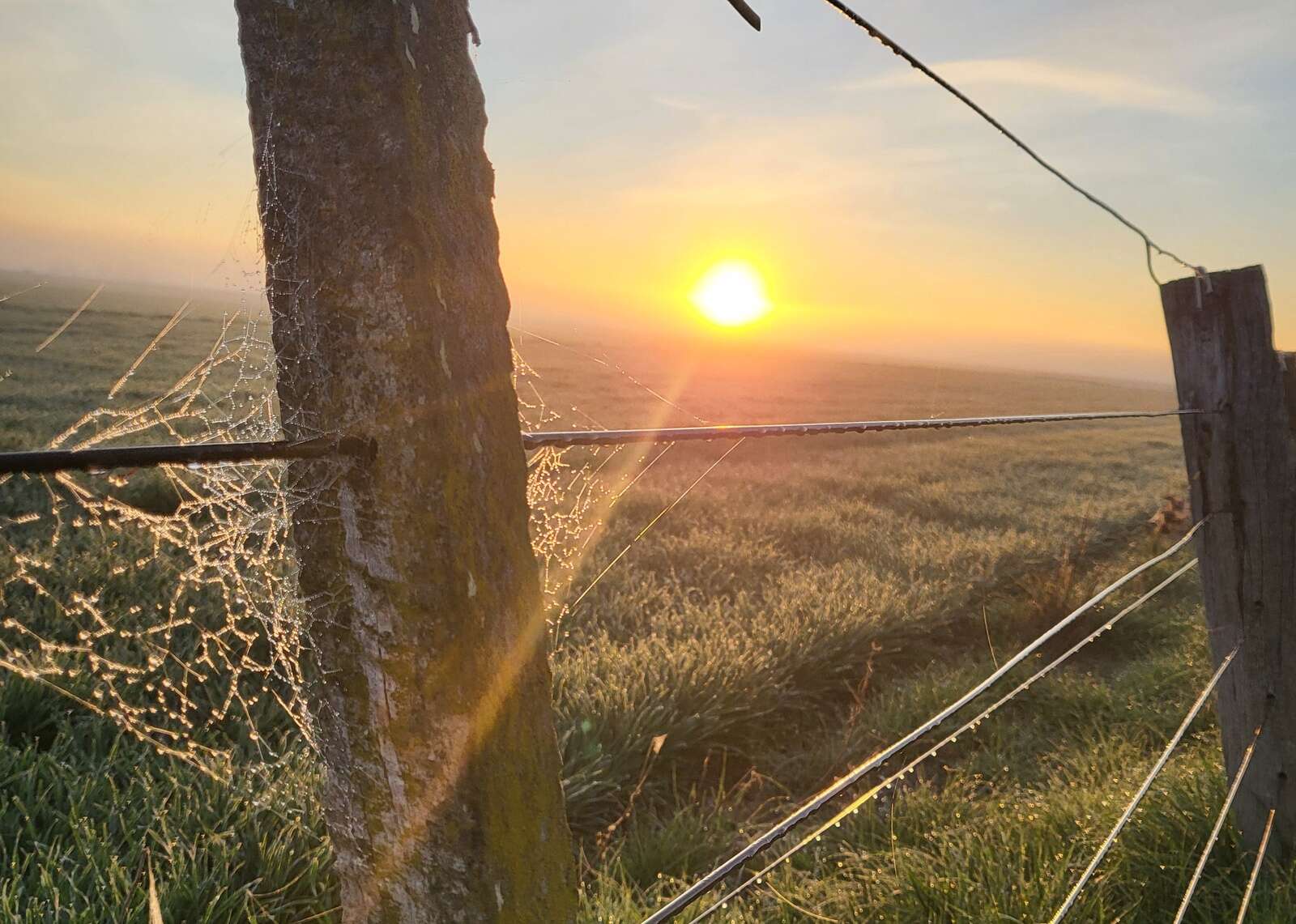 Snap a pic for 2025 calendar | Seymour Telegraph