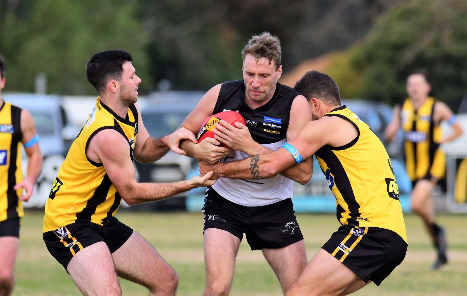 Mixed results for football, netball sides as finals loom | Cobram Courier