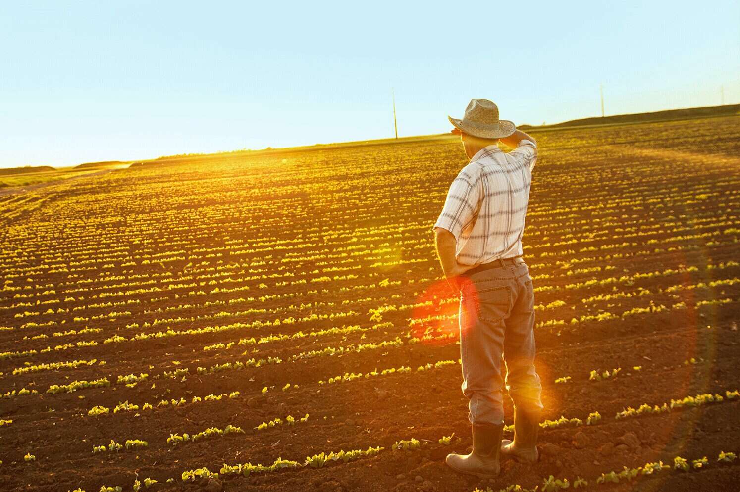 Regions behind $4b hike in horticulture sector | Country News