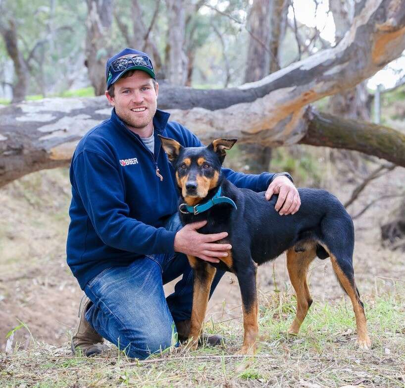 Luck of the Irish not needed at Henty | Country News