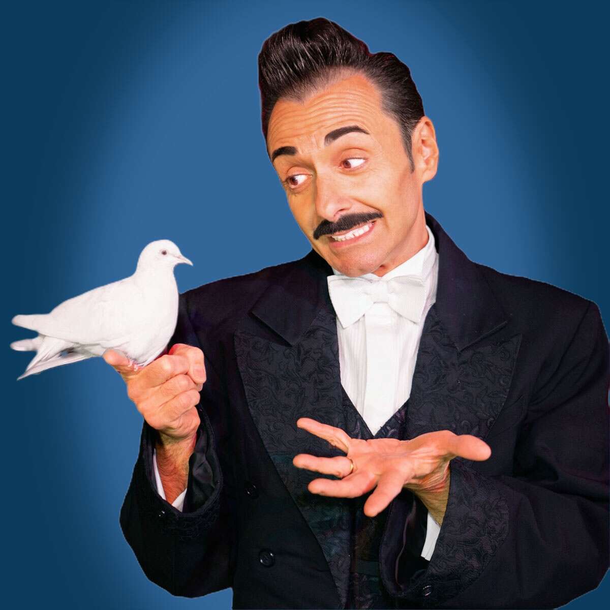 Witness magic like never before at Swanpool Memorial Hall | Benalla Ensign