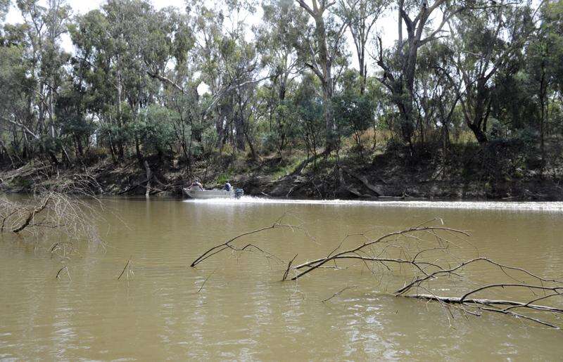 Plibersek inquiry welcomed by councils | Riverine Herald