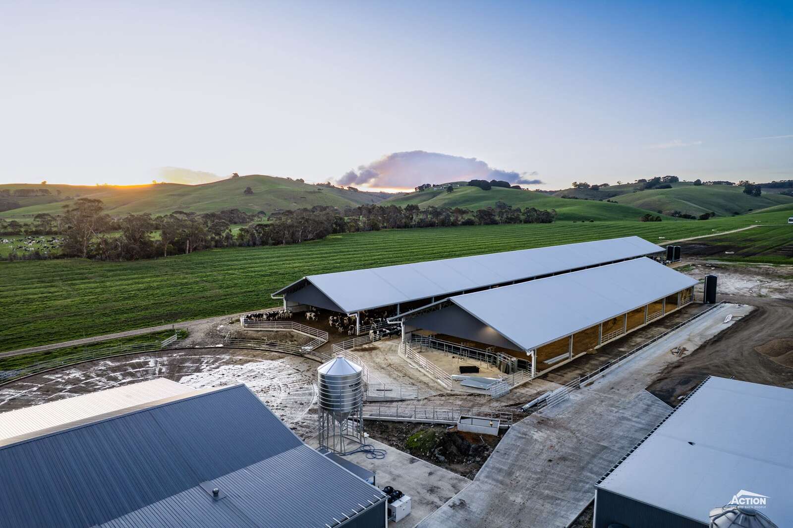 Smart barns shelter cows | Dairy News Australia