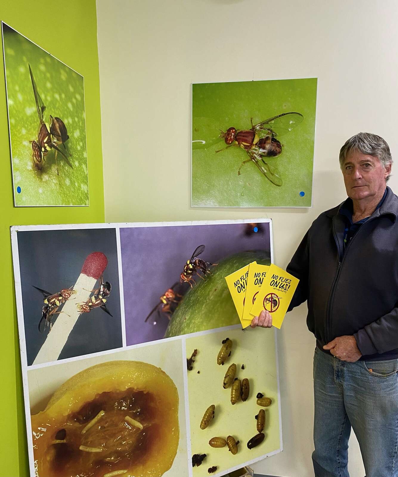 Fruit fly control starts at home | Country News