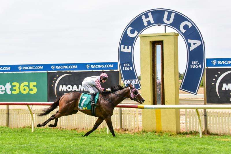 Echuca Racing Club’s New Year’s Eve bash | Country News