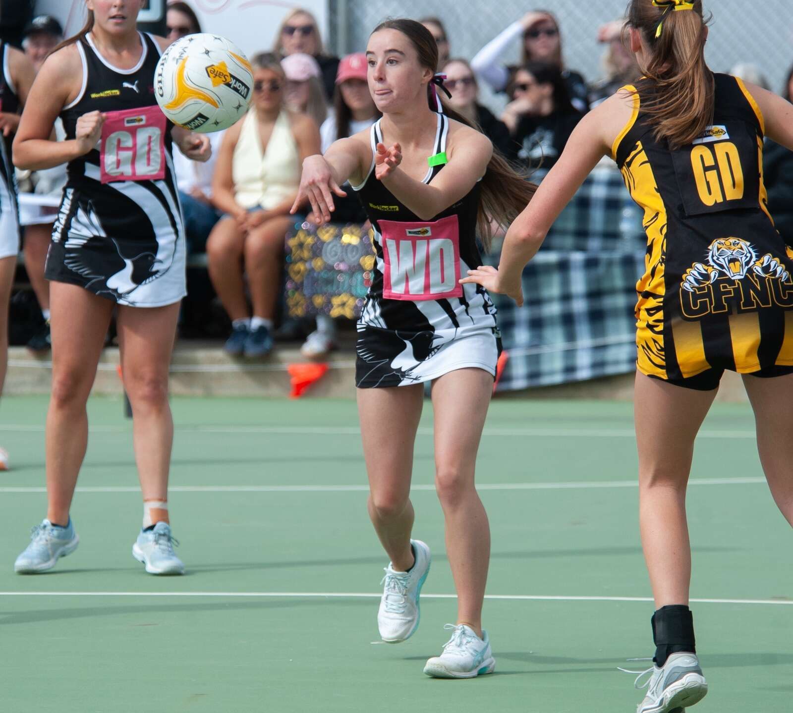 Magpies fly high and complete perfect season | Shepparton News