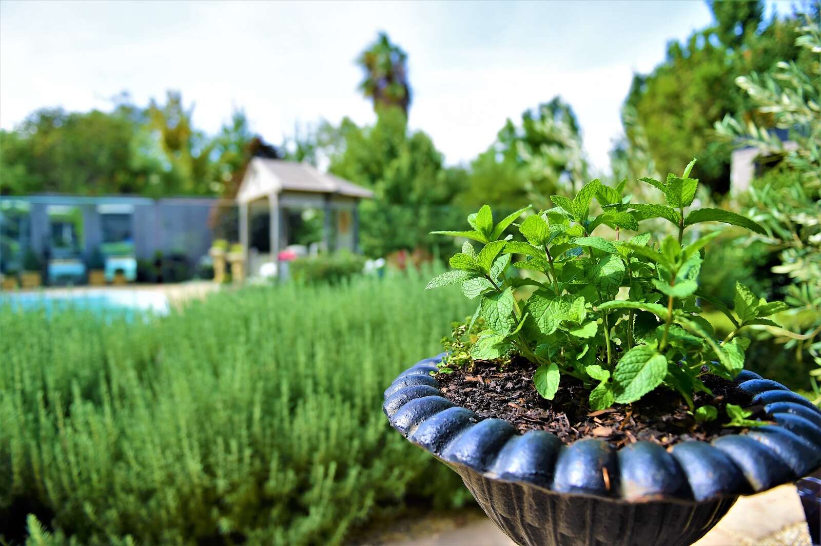 Glorious garden tells a story | Country News