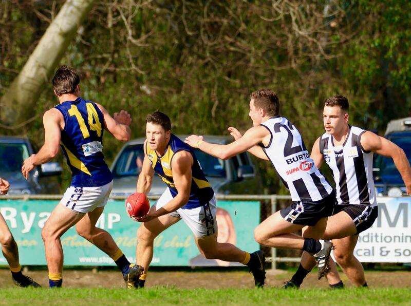 Magpies brave right to the end | Shepparton News