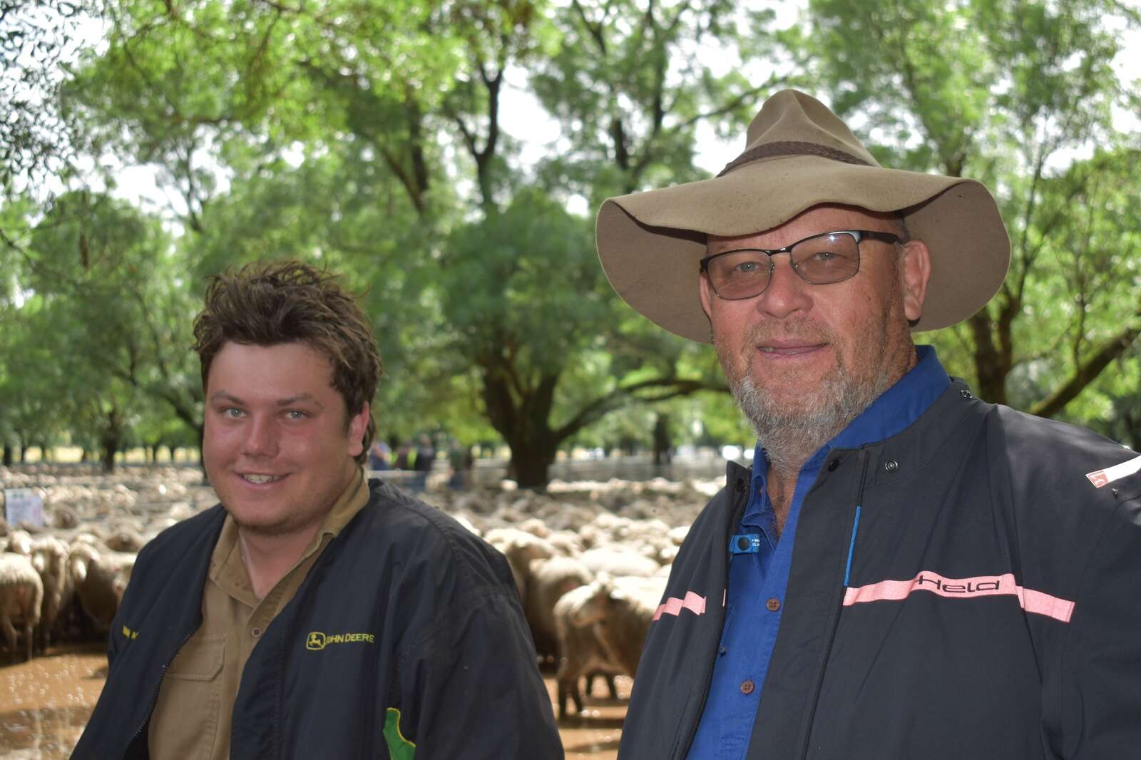 Big day at Deni Saleyards | Dairy News Australia