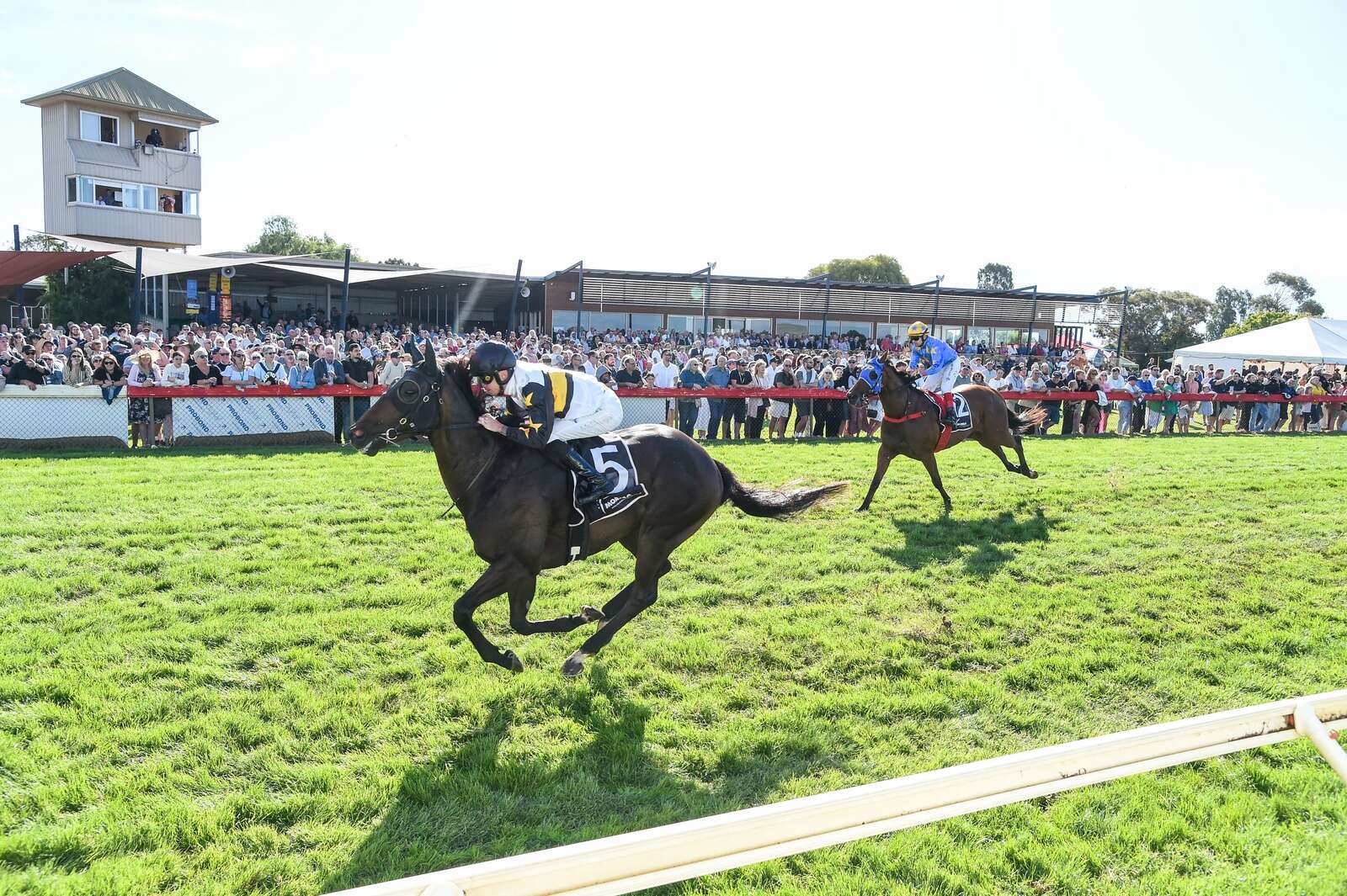 Dominant Here To Shock takes out Echuca Cup for Ben and JD Hayes ...