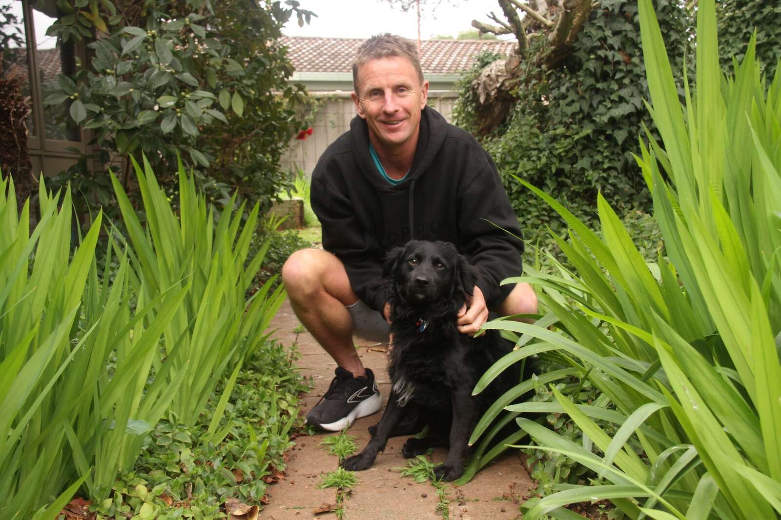 Determined distance-running dog defies expectations | Shepparton News