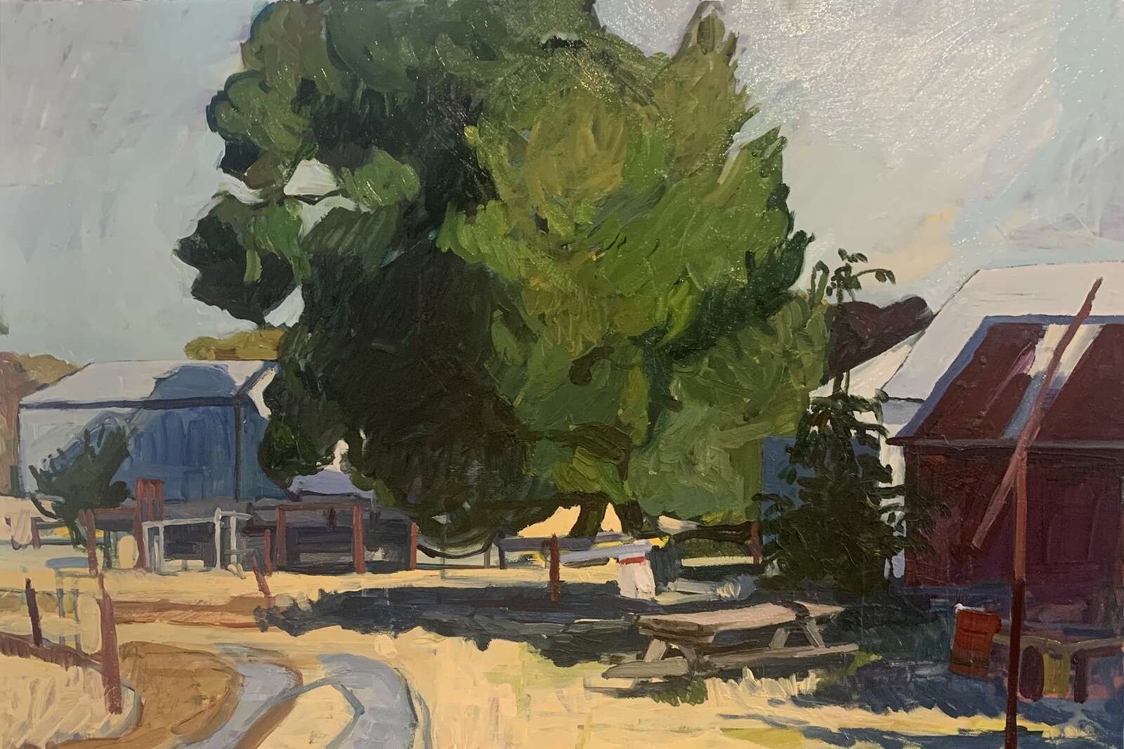 Discover the hidden beauty of the Strathbogie Ranges in Anna Mackrell’s ...