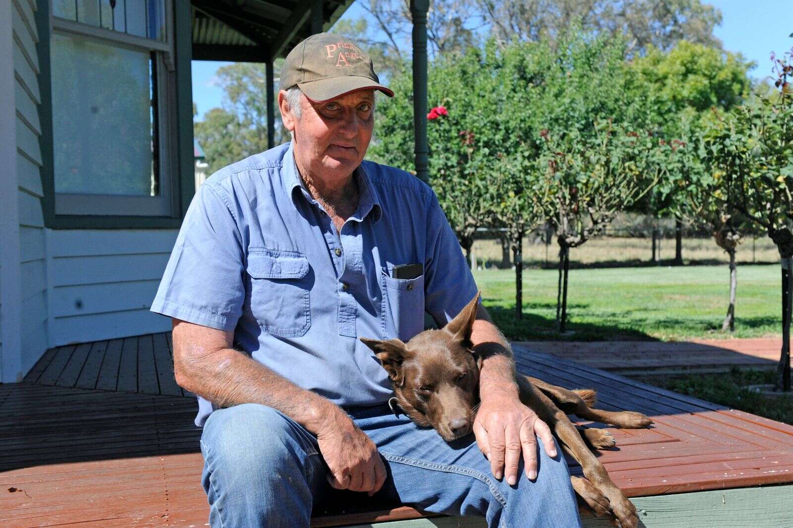 Rosie’s not for sale at any price | Country News