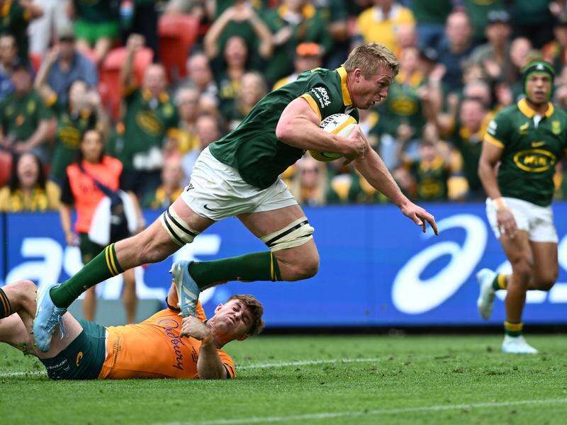 Springboks short of locks for All Blacks battles | Riverine Herald