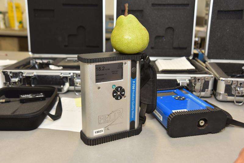 New device checks fruit ripeness while on the tree | Country News