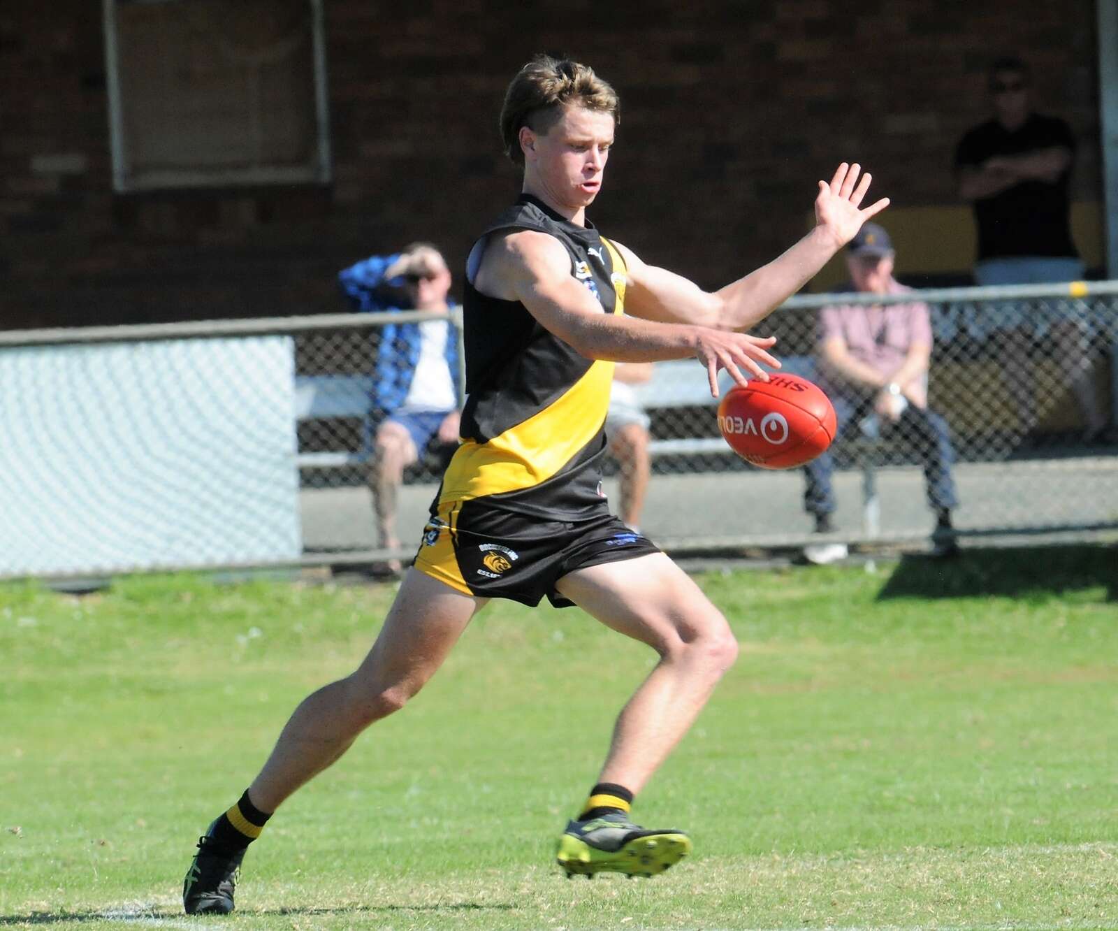 Pioneers star returns to haunt Tigers | Shepparton News
