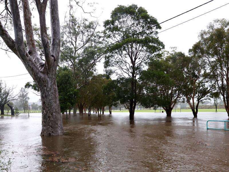 Major flood warnings put Northern Rivers towns on alert | Country News