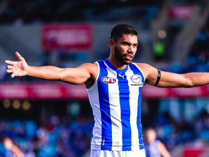 Tarryn Thomas returns to North via VFL program | Dairy News Australia