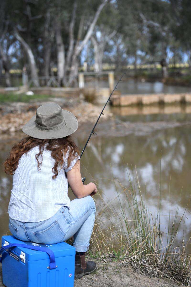 Fish sun smart | Dairy News Australia