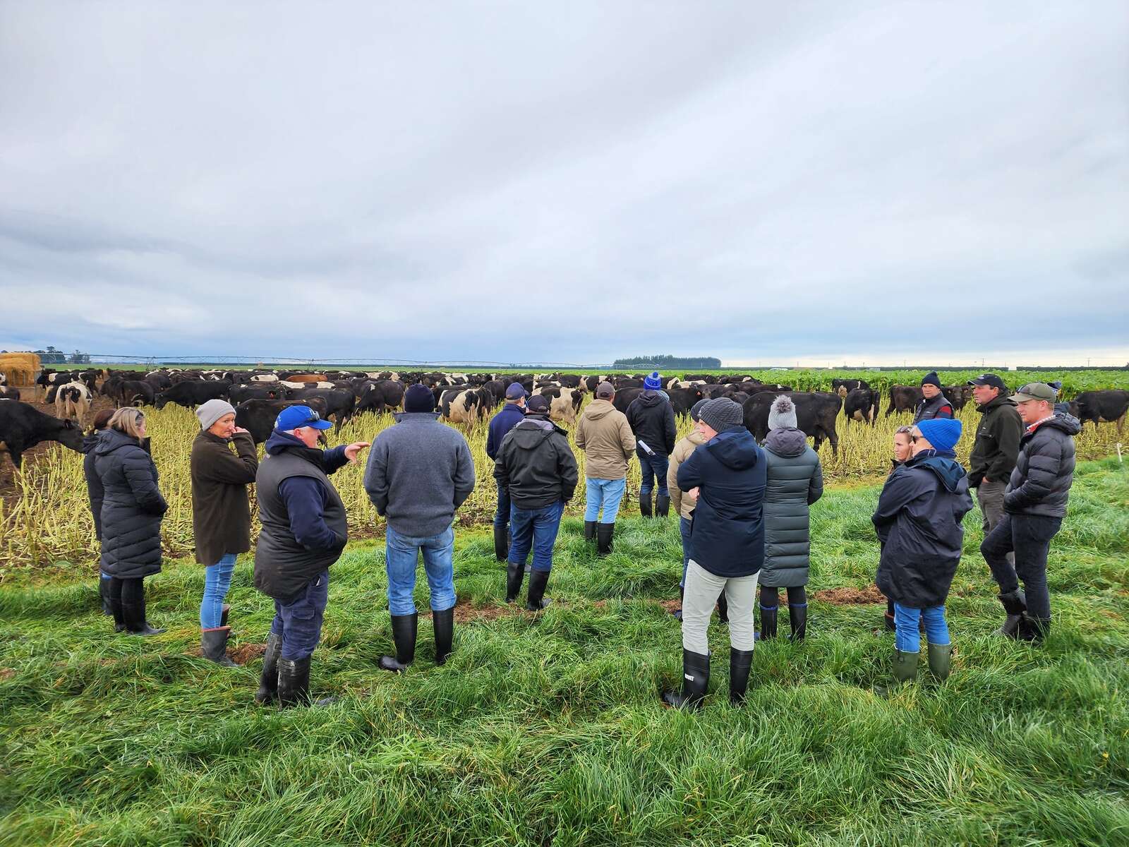 Virtual fencing over the ditch | Shepparton News