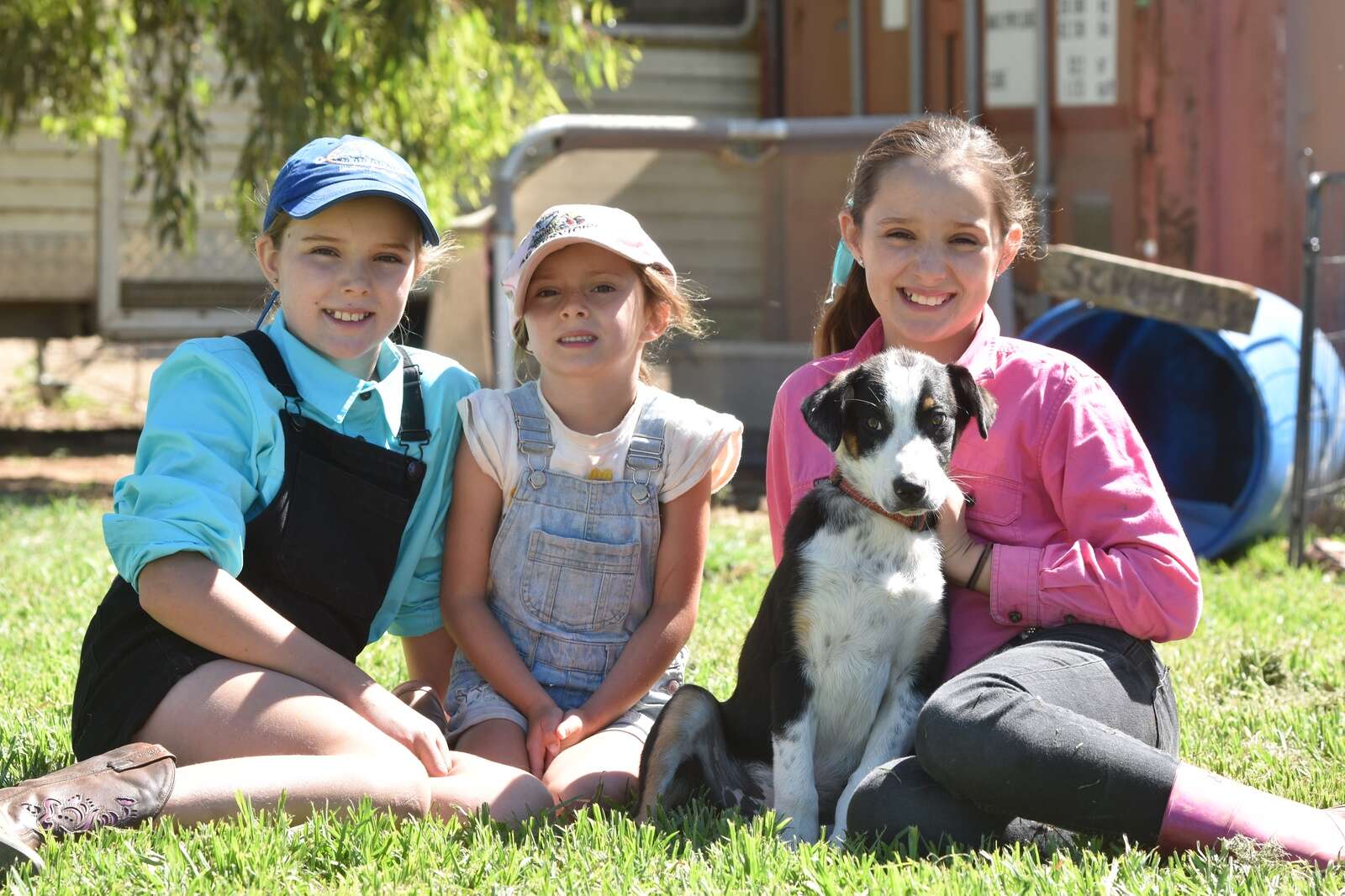 Man’s Best Friend | The more the merrier | Country News