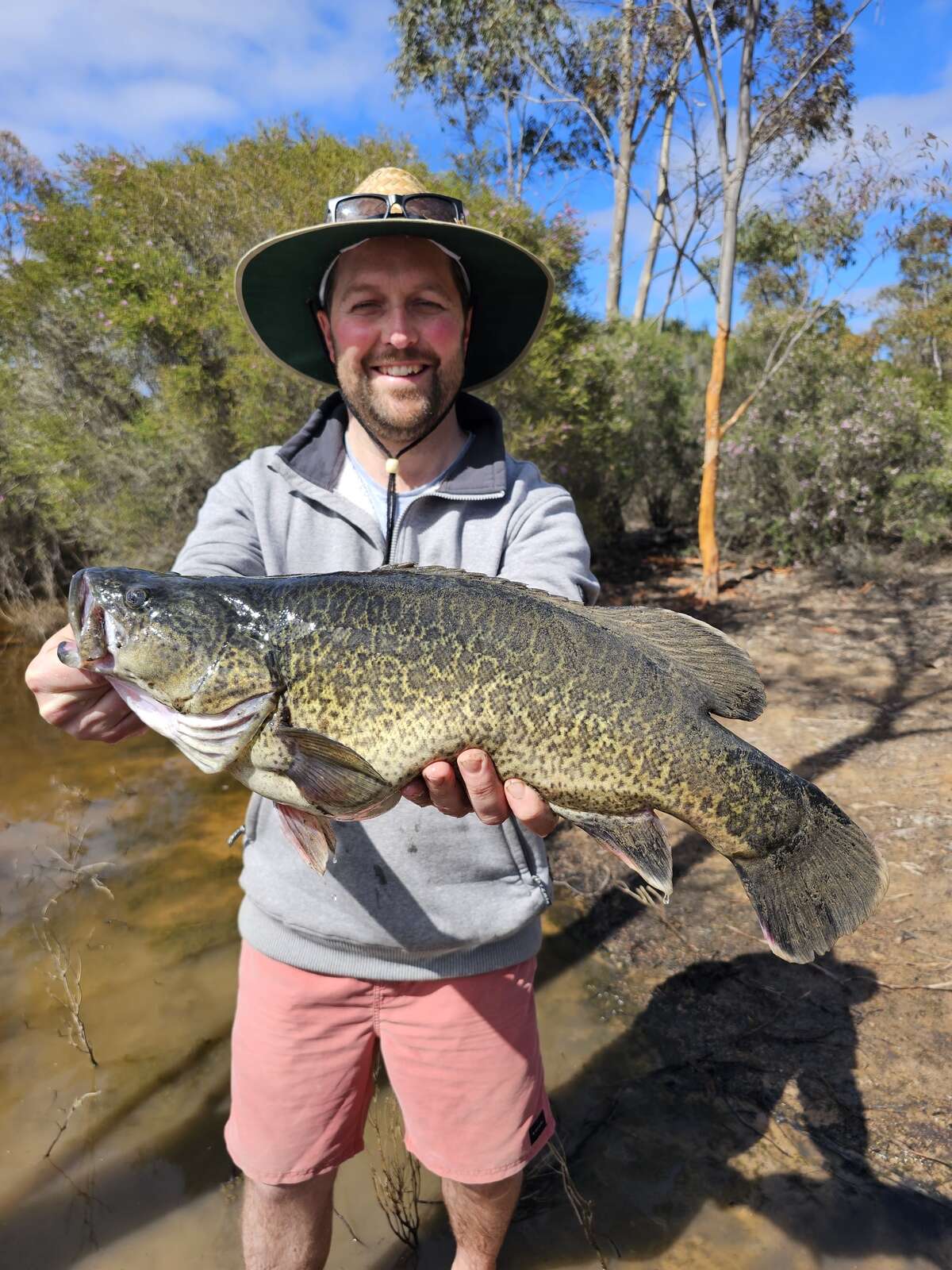 Murray cod season opens | Riverine Herald