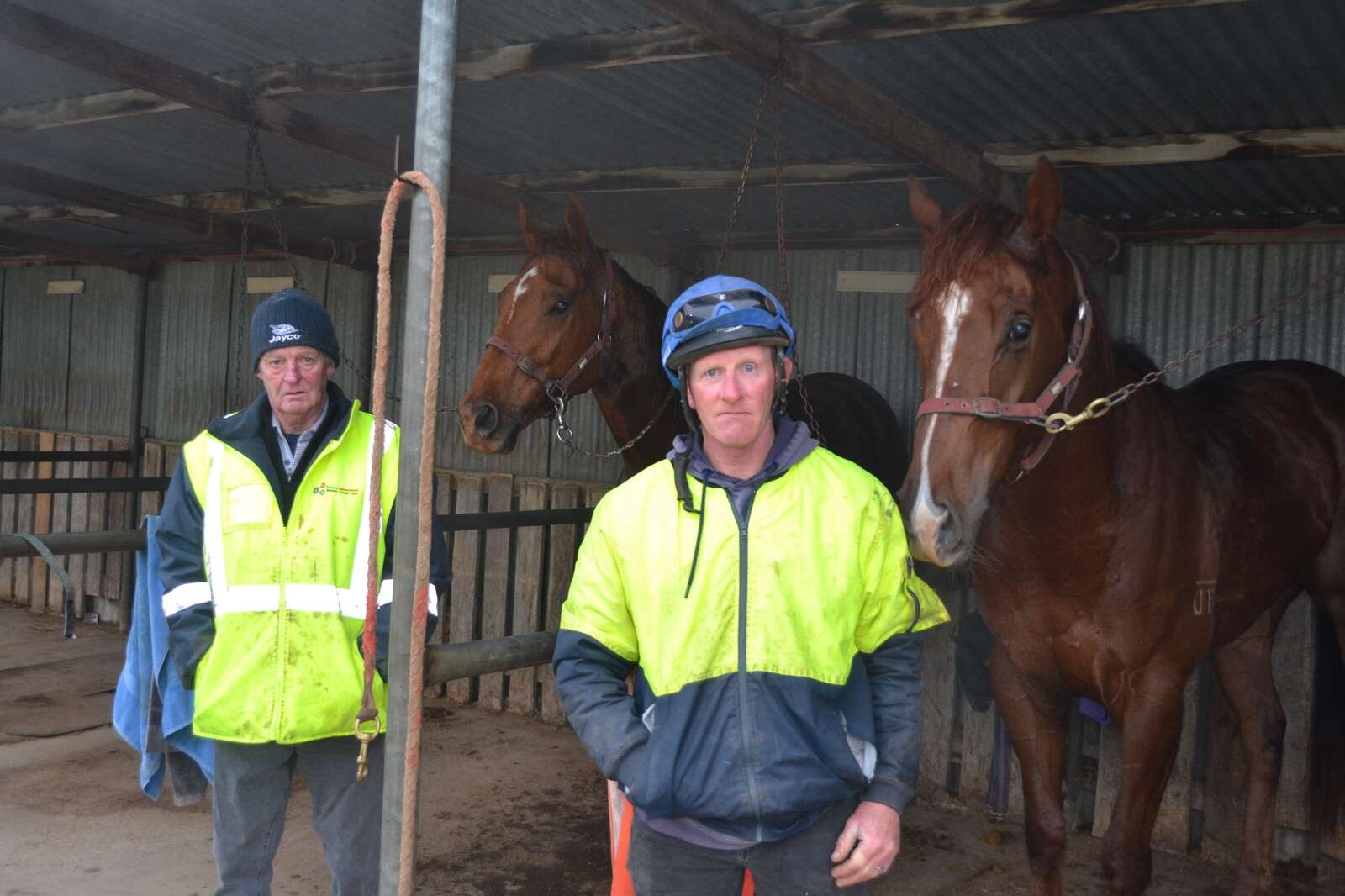 Wild Irish Rover ready for Corowa | Shepparton News