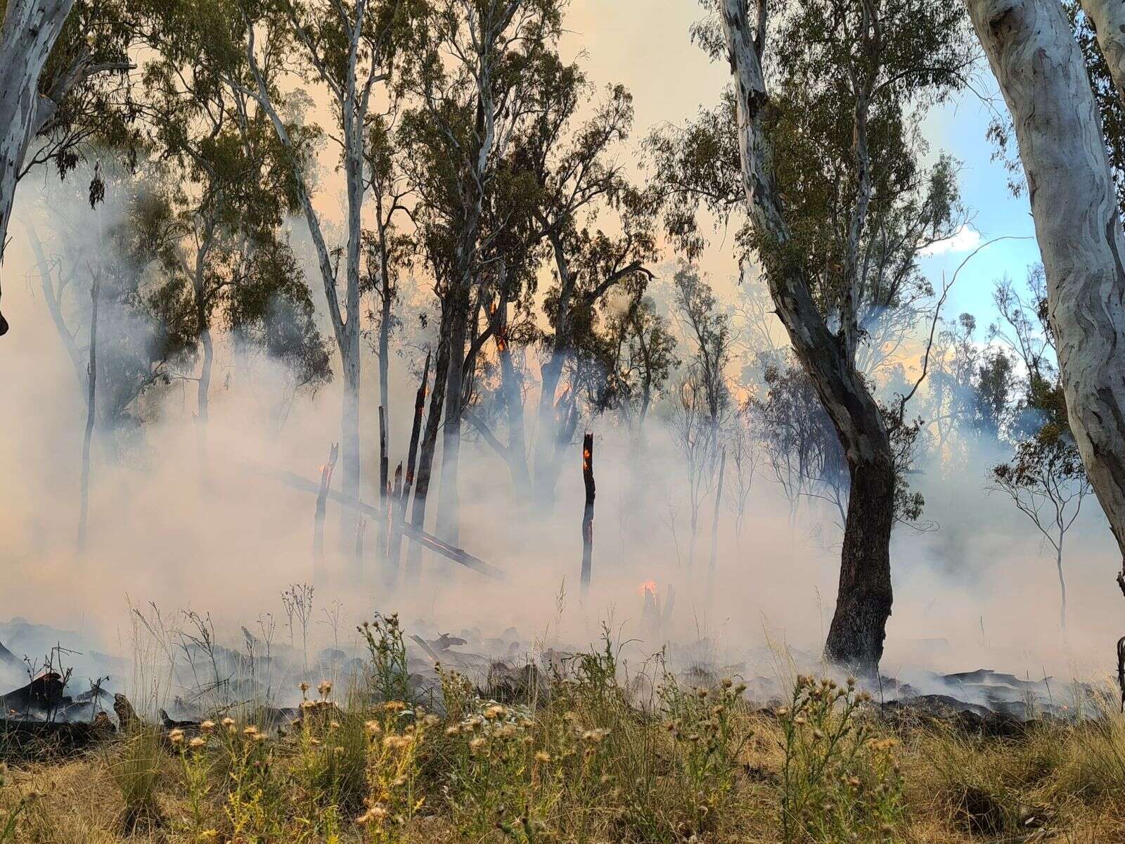 Watch and Act: Yambuna bushfire | Country News