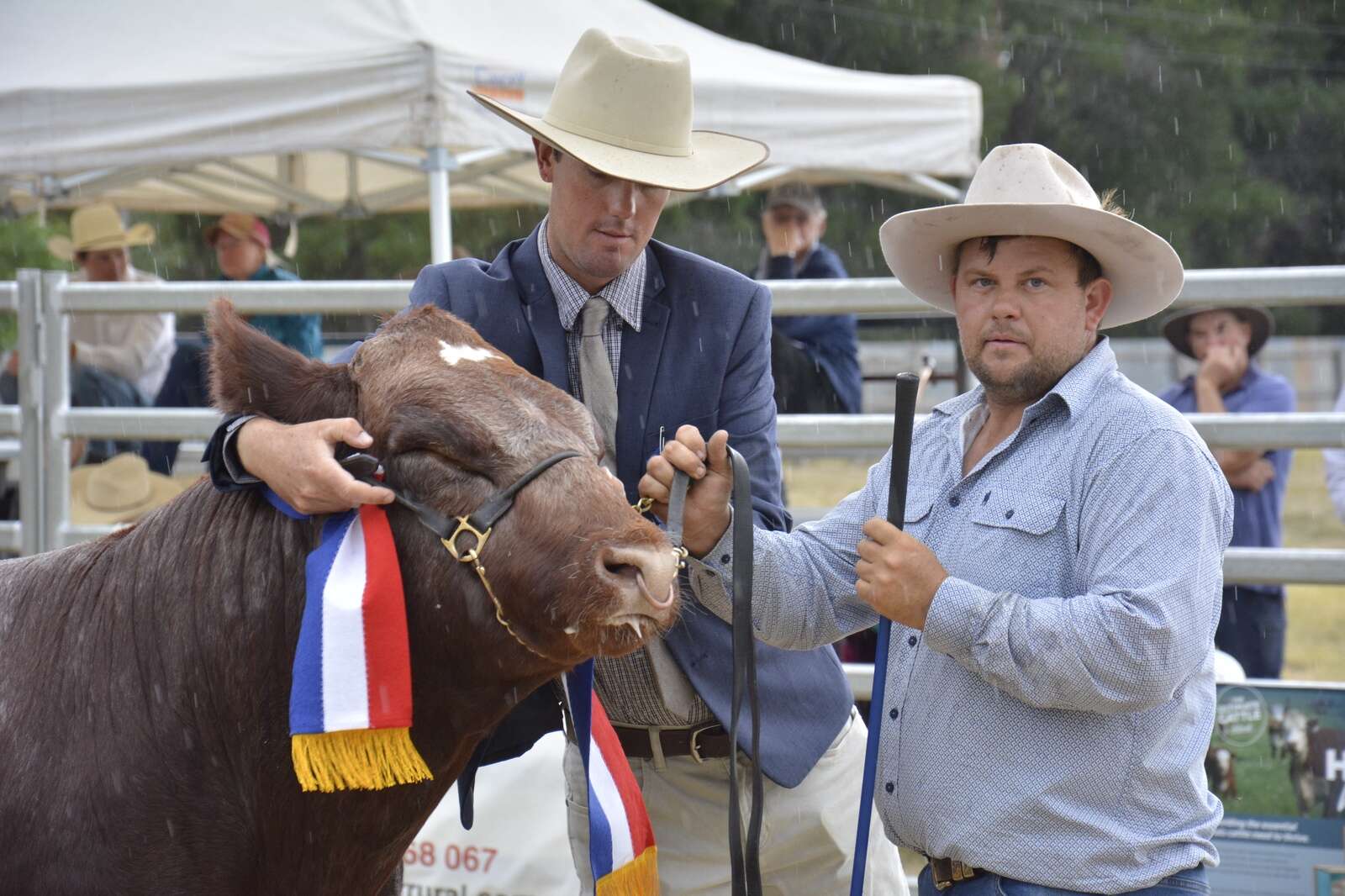 Euroa autumn beef show judged a winner | Country News