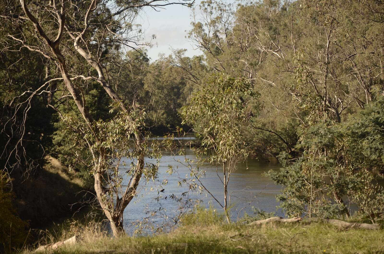 New battle to deliver basin plan water | Corowa Free Press