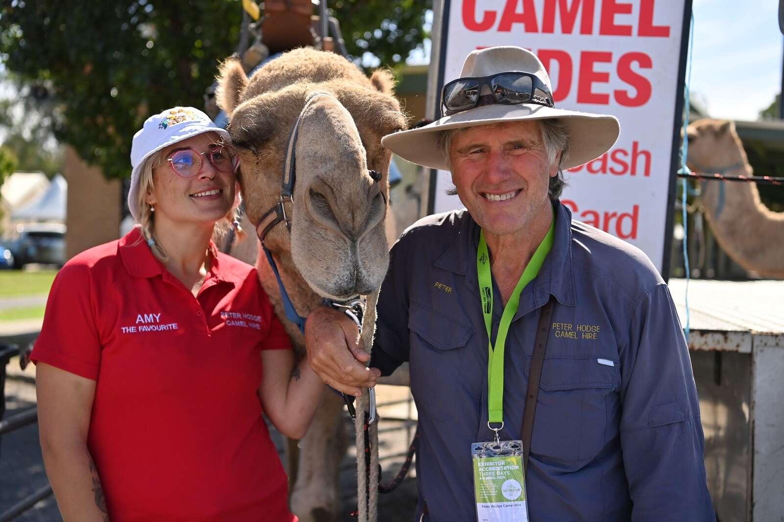 Saddle up, camel rides return | Dairy News Australia