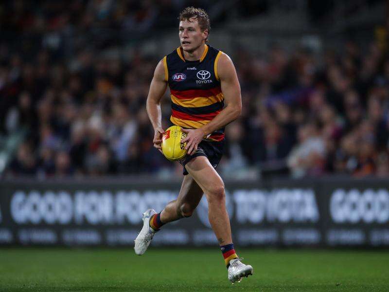Dawson to captain Crows after Sloane stands down | Dairy News Australia