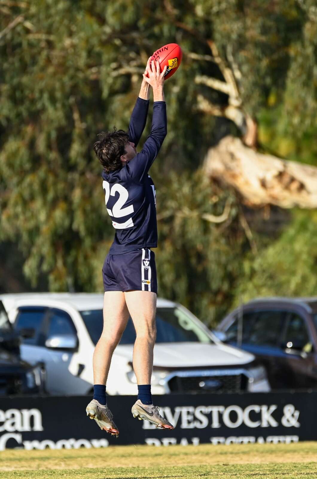 Race to the top of HDFL mountain heating up | Shepparton News