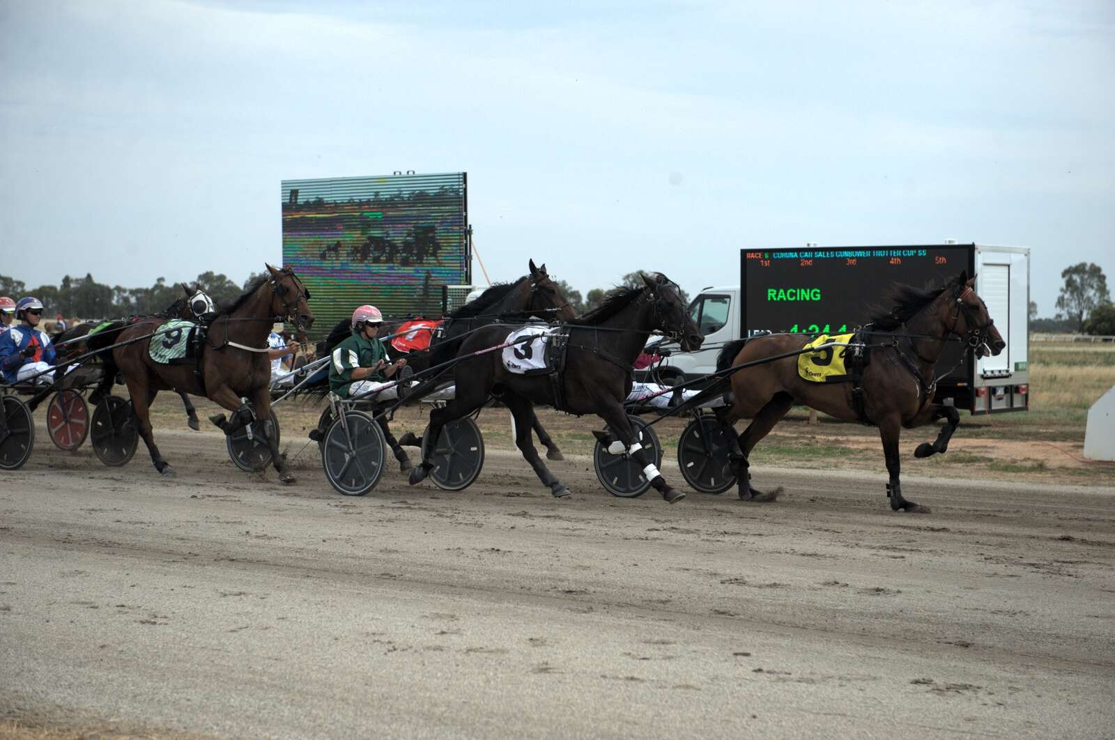 Milestone meet for Gunbower Harness Racing Club | Shepparton News